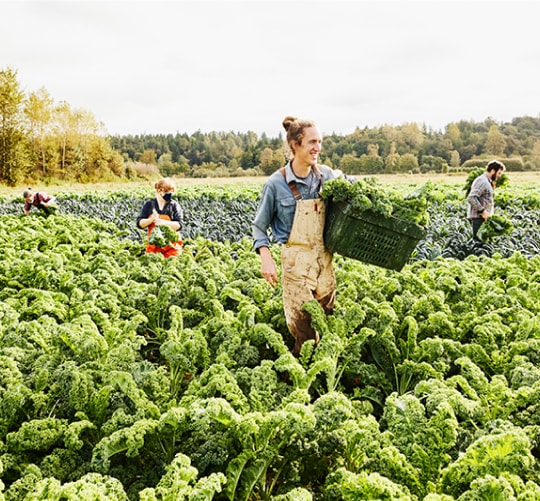 Local Restaurant Row - Aramark