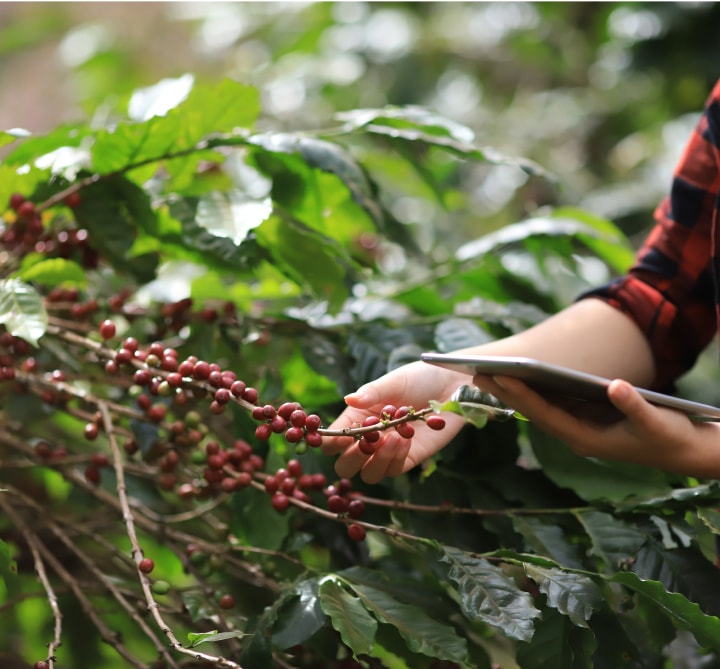 Refreshment Services - Aramark