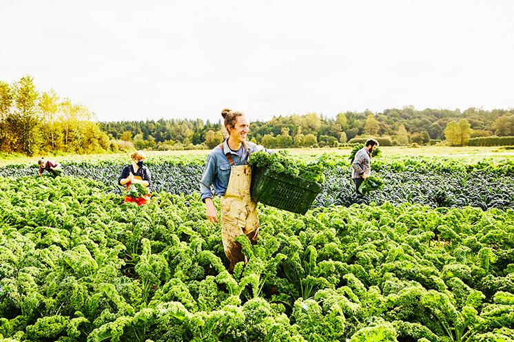 Local Sourcing Can Be Complicated – We're Up to the Challenge - Aramark