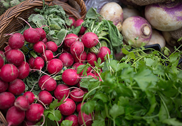 From Ballparks to Dining Halls, Plant-Forward Is Sprouting Up - Aramark