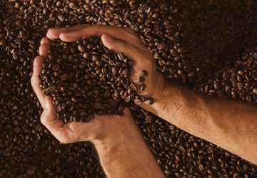 Coffee Buzz: Consumer Expectations Are Changing - Aramark