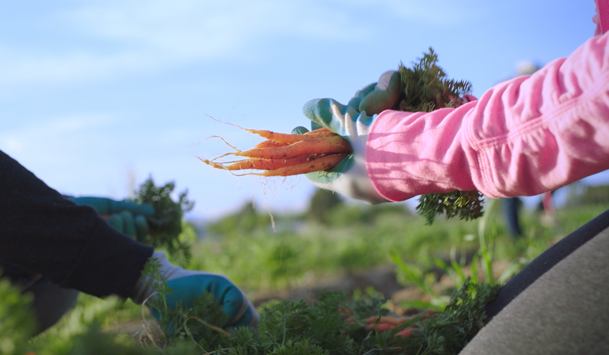 Local Sourcing Can Be Complicated – We're Up to the Challenge - Aramark